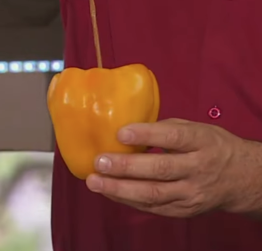 Bloody locote - Cocineros Argentinos